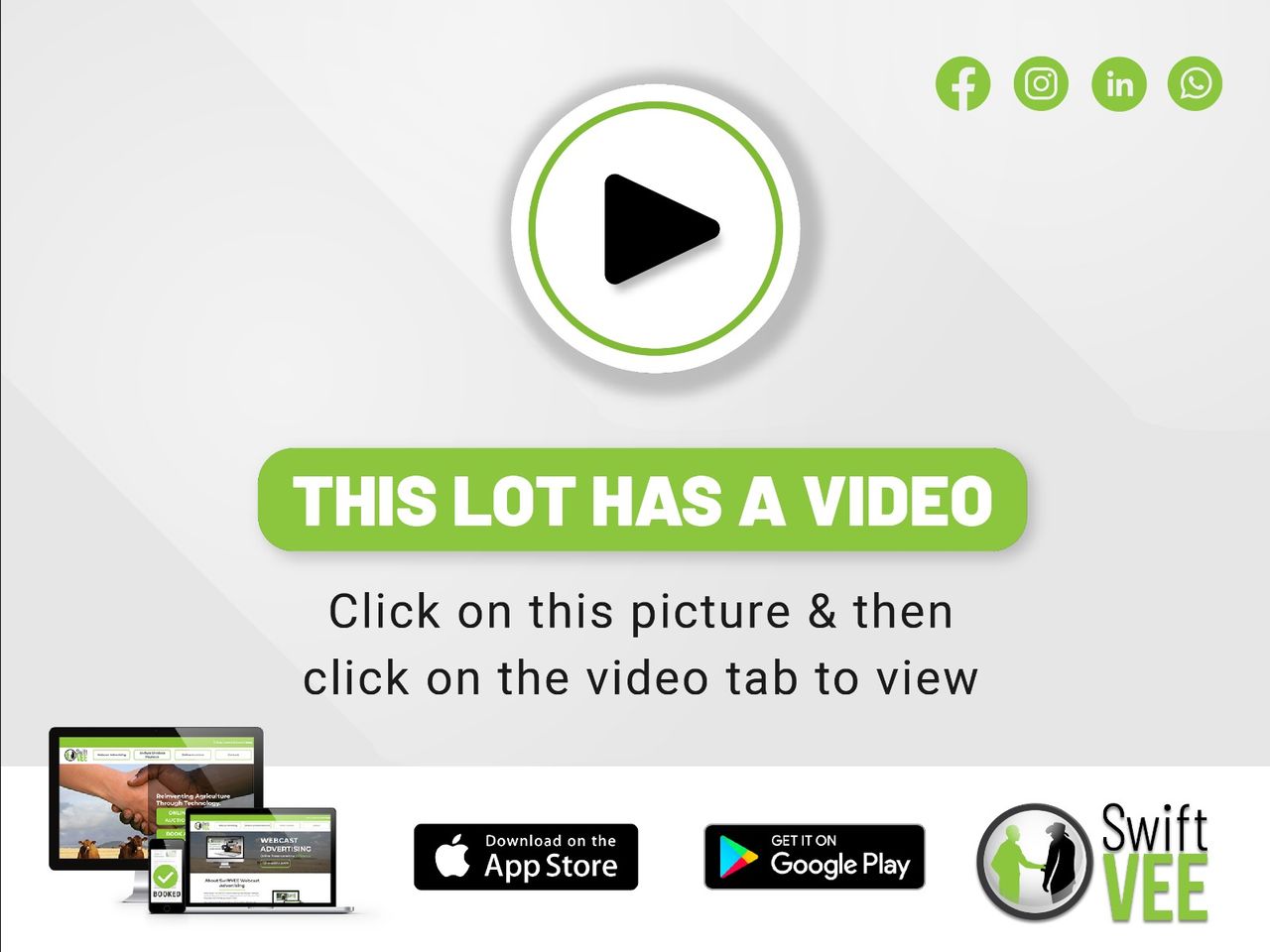 Lot 75 | SPESIALE BEES EN SKAAP AANLYN VEILING | SwiftVEE | Livestock ...