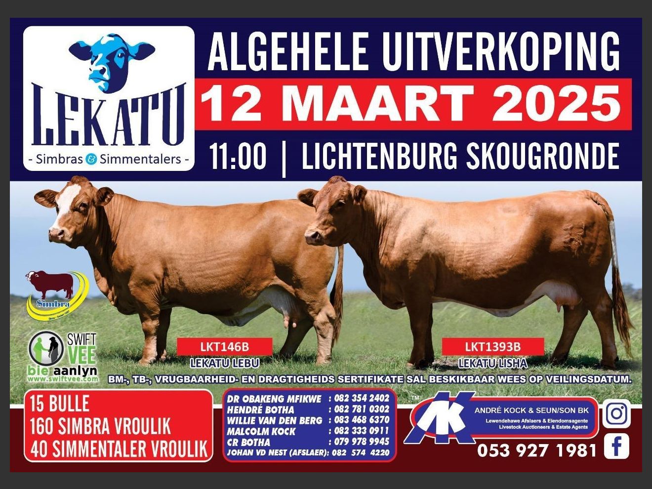 Lot 1A | LEKATU SIMBRA & SIMMENTALER ALGEHELE UITVERKOPING | SwiftVEE ...