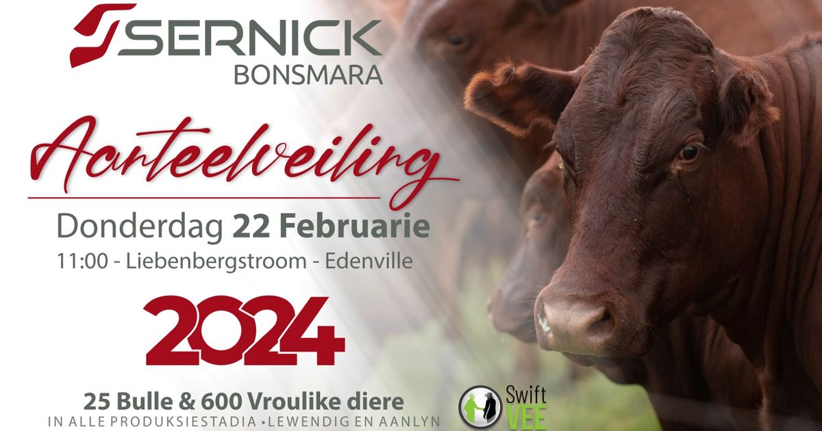 SERNICK BONSMARA AANTEELVEILING | SwiftVEE | Livestock & Cattle Webcast ...