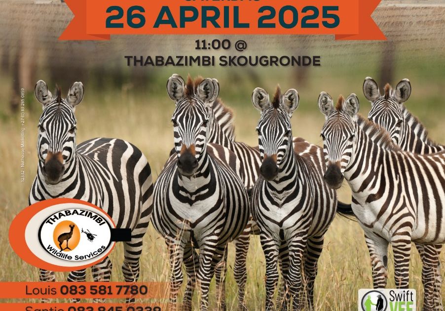 THABAZIMBI WILDLIFE SERVICES WILDVEILING TROFEE JAGDIERE | SwiftVEE ...