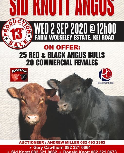 SID KNOTT ANGUS | SwiftVEE | South Africa’s Leading Online Livestock ...
