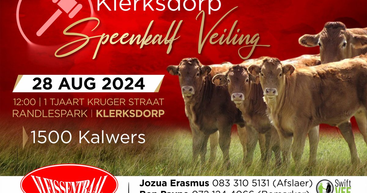 KLERKSDORP SPEENKALF VEILING | SwiftVEE | South Africa’s Leading Online ...