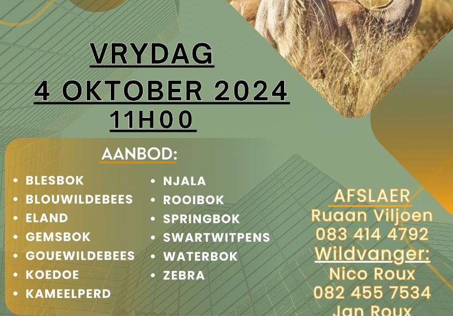 NICO ROUX WILD VEILING | SwiftVEE | Livestock & Cattle Webcast Auctions