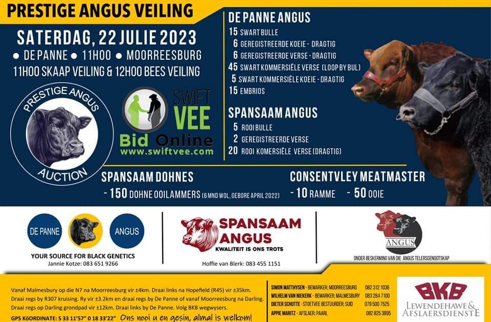 PRESTIGE ANGUS VEILING (DE PANNE EN SPANSAAM ANGUS) VERKOPERS: JANNIE ...