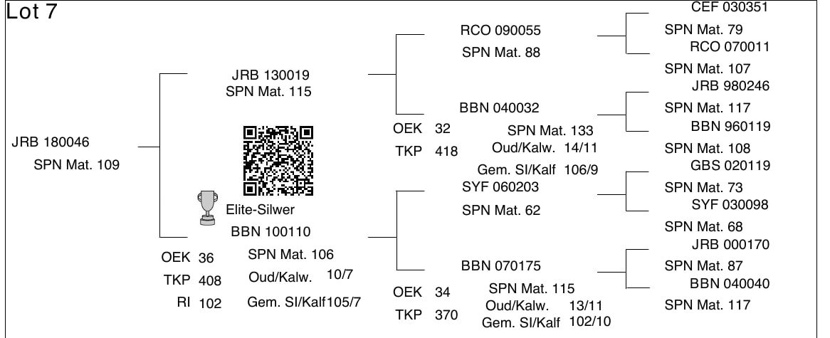 Lot 7 | BRISTOW BONSMARA PRODUCTION SALE | SwiftVEE | Livestock ...