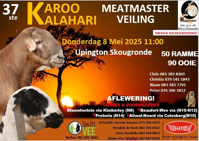 37STE KALAHARI KAROO MEATMASTER PRODUKSIEVEILING | SwiftVEE | South ...