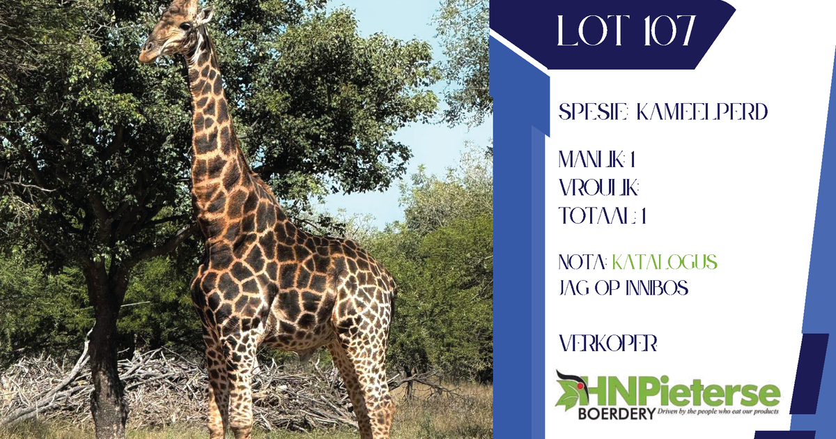Lot 107 | SCHOONBEE LANDGOED & HN PIETERSE BOERDERY WILD ...