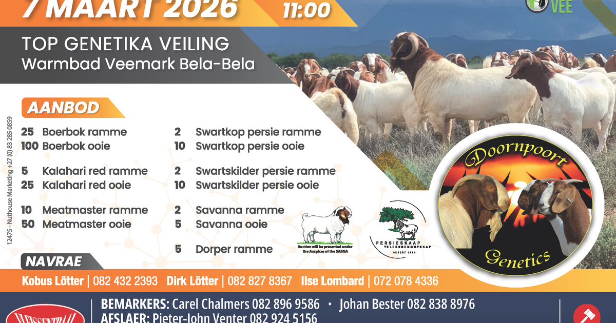 DOORNPOORT GENETICS TOP GENETIKA VEILING | SwiftVEE | Livestock ...