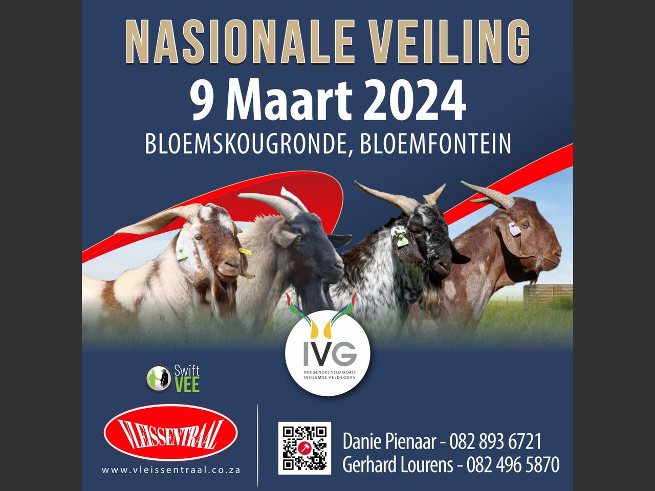 IVG NATIONAL AUCTION | SwiftVEE | South Africa’s Leading Online ...