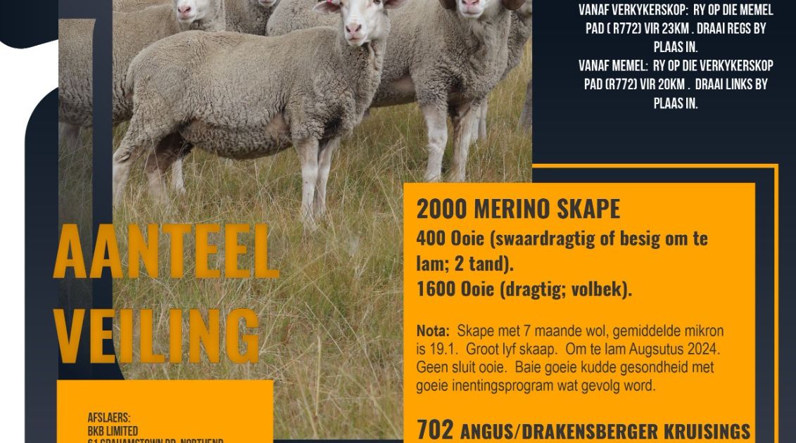 MARTHINUS WILLEMSE AANTEEL VEILING | SwiftVEE | Livestock & Cattle ...