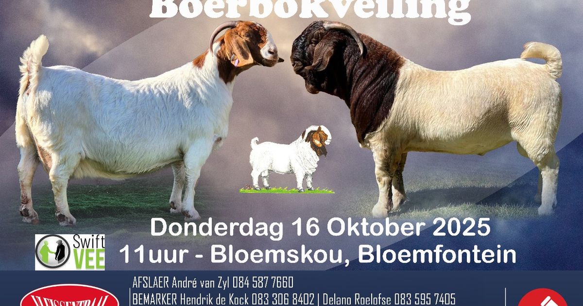 NASIONALE BOERBOK VEILING | SwiftVEE | South Africa’s Leading Online ...