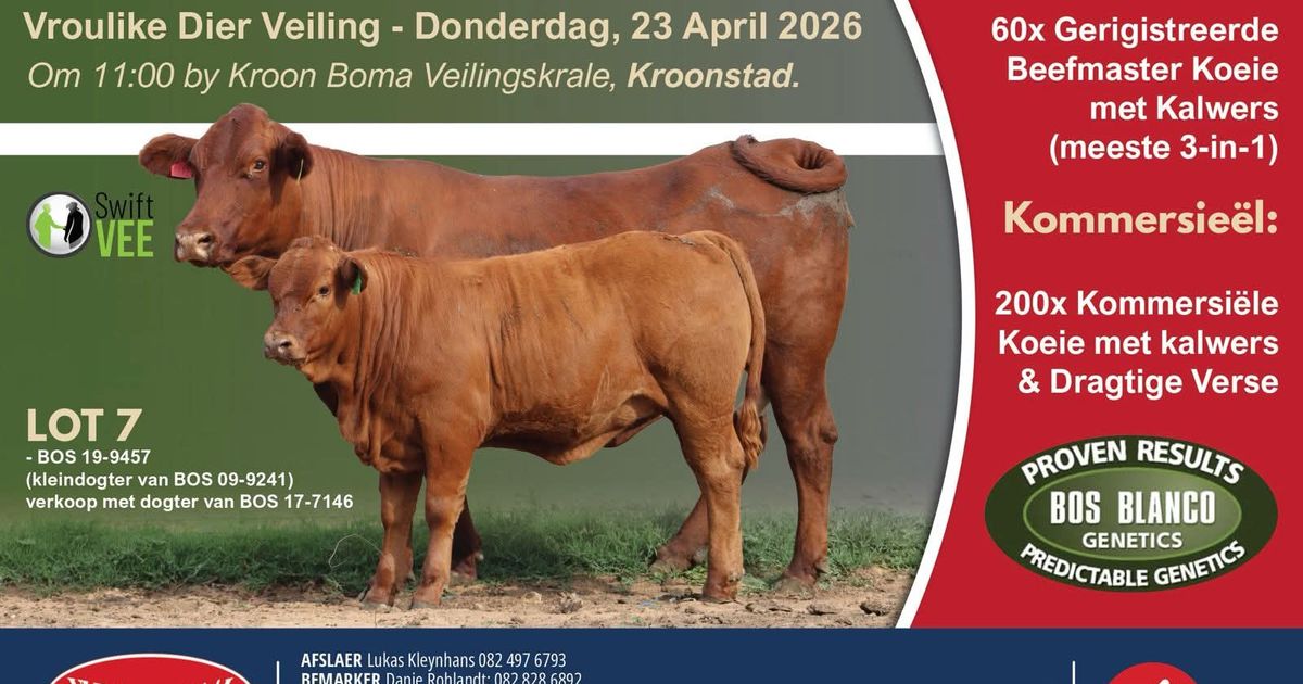 BOS BLANCO VROULIKE DIER VEILING | SwiftVEE | South Africa’s Leading ...