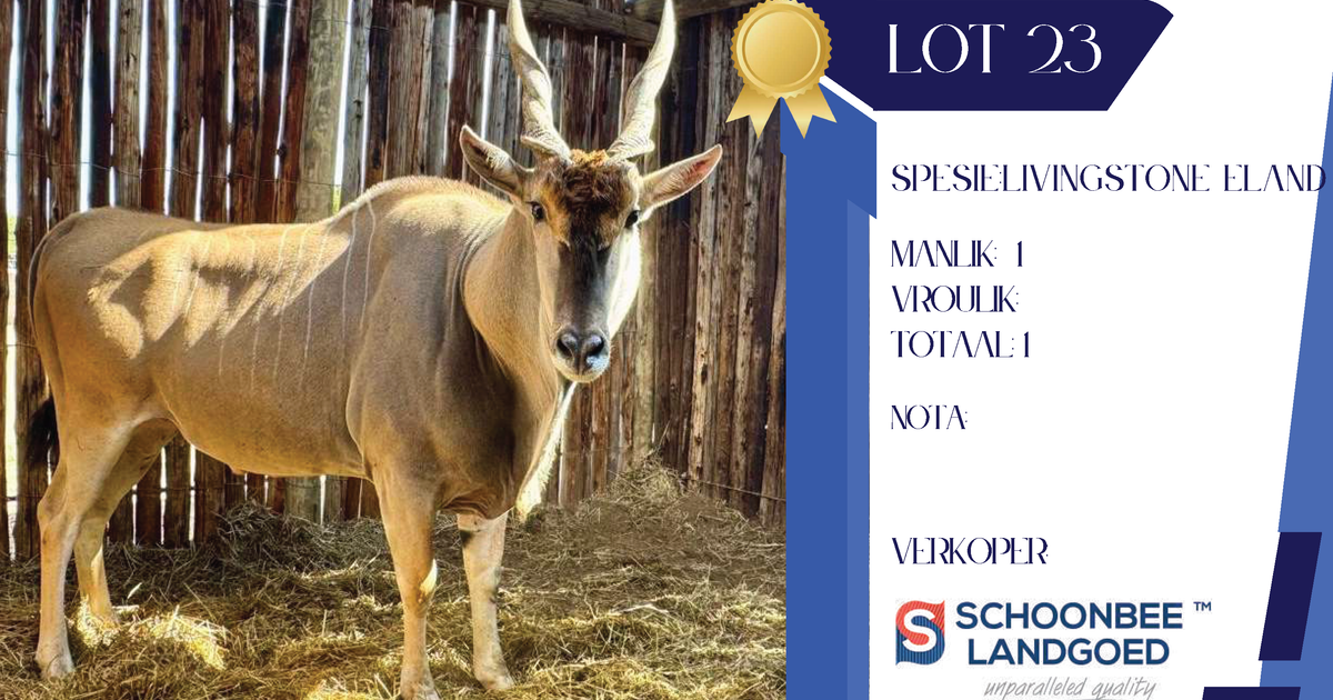 Lot 23 | SCHOONBEE LANDGOED & HN PIETERSE BOERDERY WILD ...