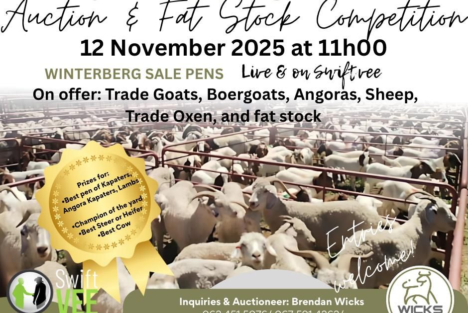 FORT BEAUFORT AUCTION & FAT STOCK COMPETITION | SwiftVEE | South Africa ...