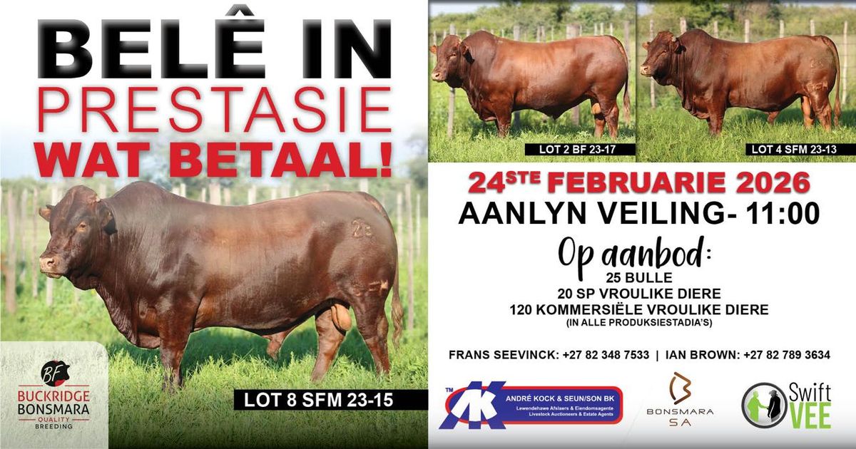 BUCKRIDGE BONSMARA AANLYN VEILING | SwiftVEE | South Africa’s Leading ...